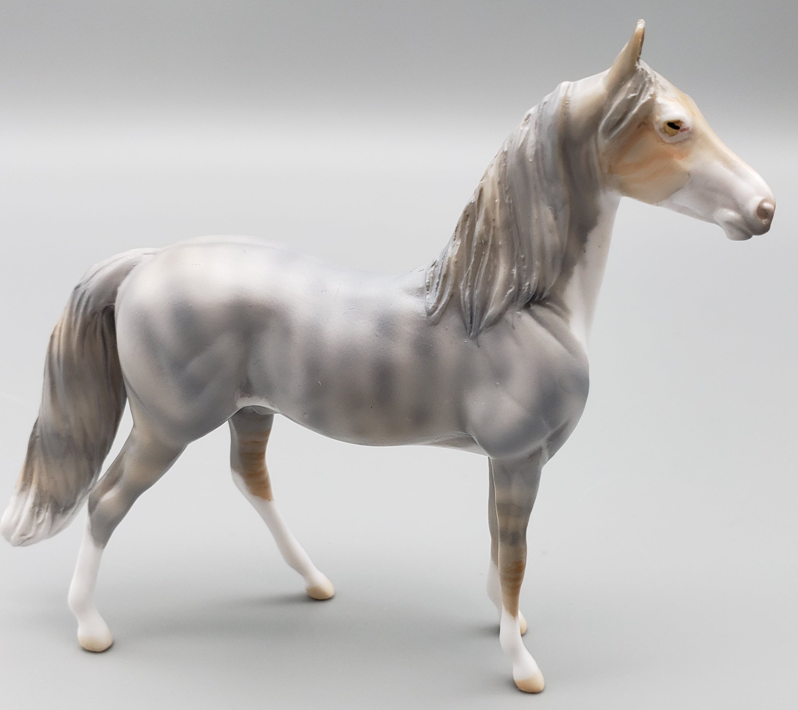 Tuna | StoneHorseRef